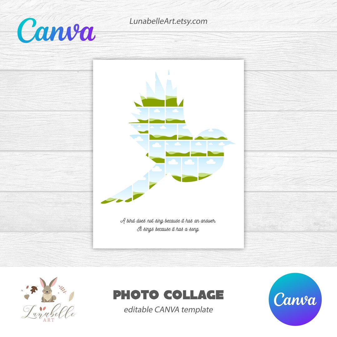 Bird Photo Collage | Animal Collage | Editable Photo Collage Canva ...