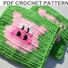 PIG Potholder PDF Crochet Pattern - Graph and Written Instructions ...