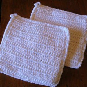 Apple Potholder PDF Crochet Pattern - Graph and Written Instructions ...