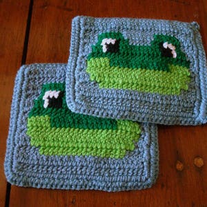 Frog Potholder PDF Crochet Pattern - Graph and Written Instructions ...