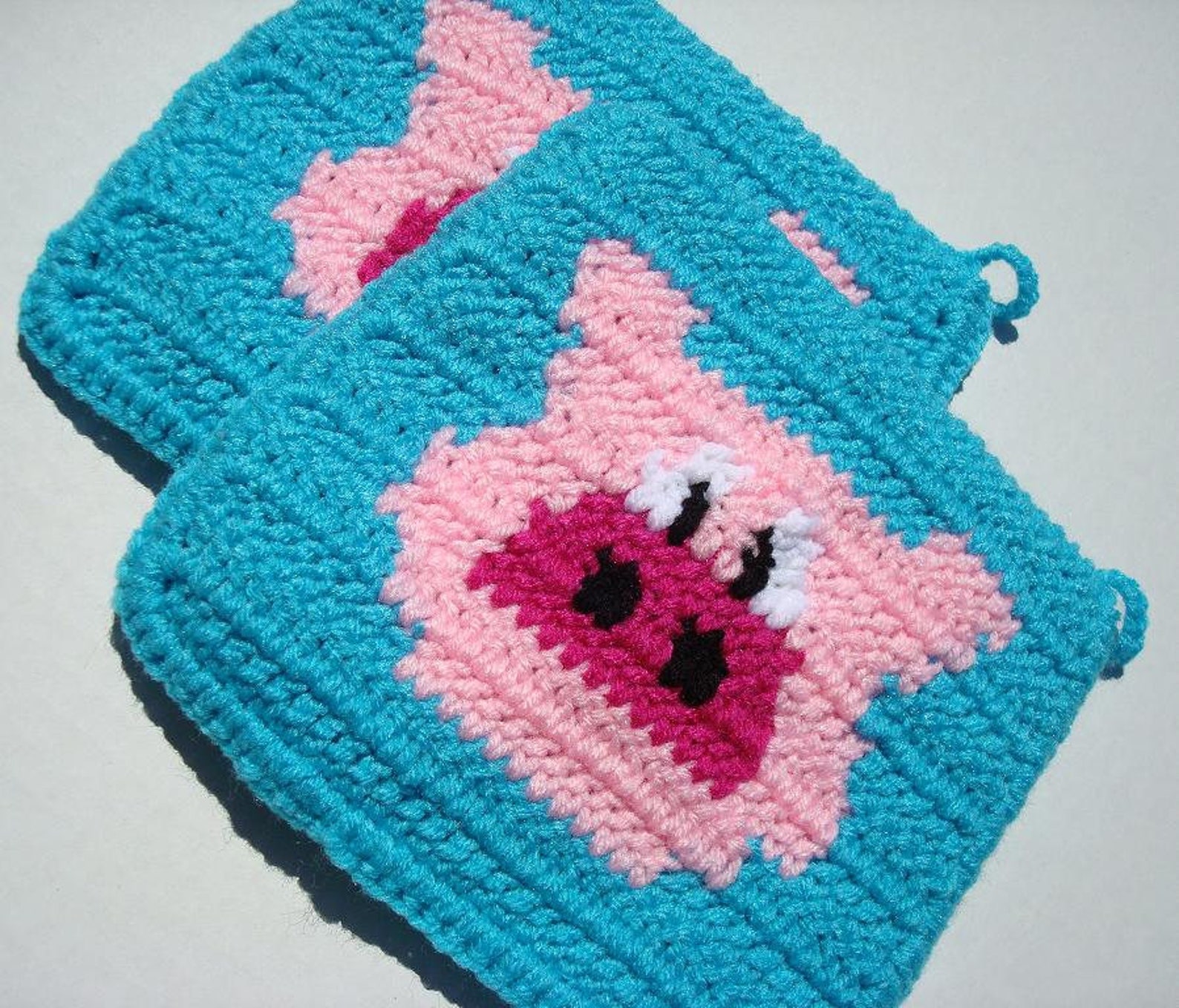 PIG Potholder PDF Crochet Pattern - Graph and Written Instructions ...