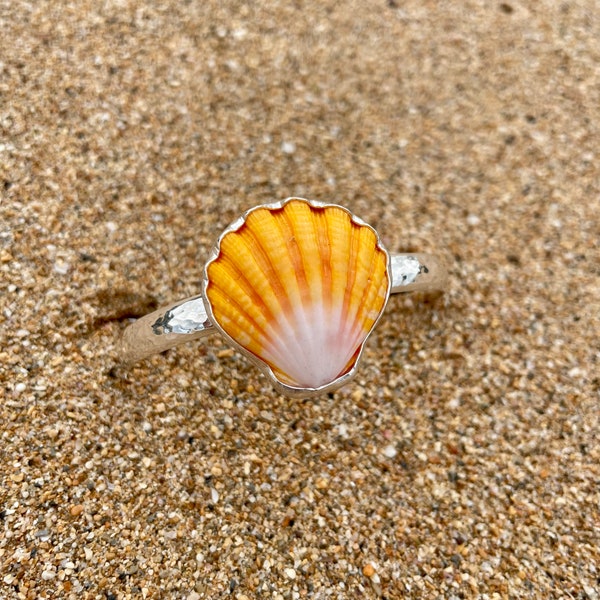 Sunrise Shell - Etsy