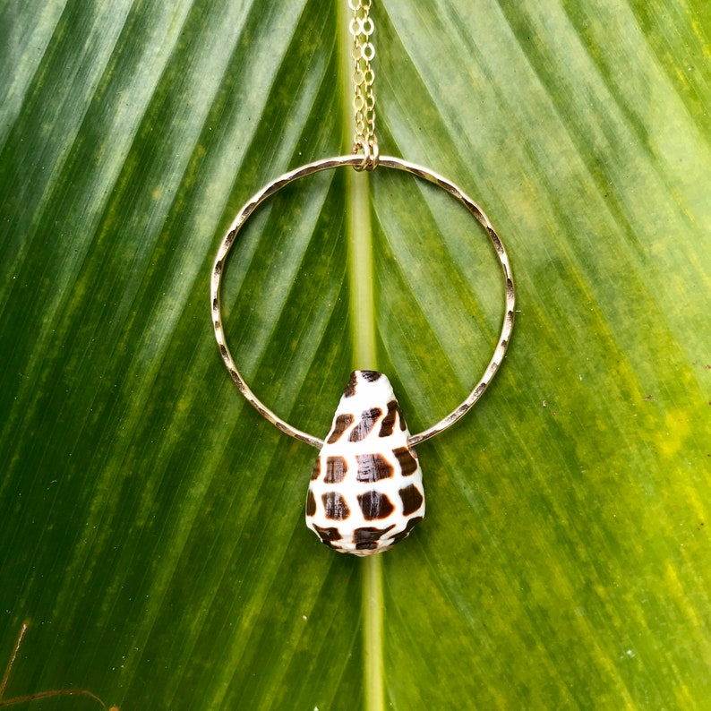 Hebrew Cone Shell Karma Necklace Cone Shell Necklace Shell | Etsy