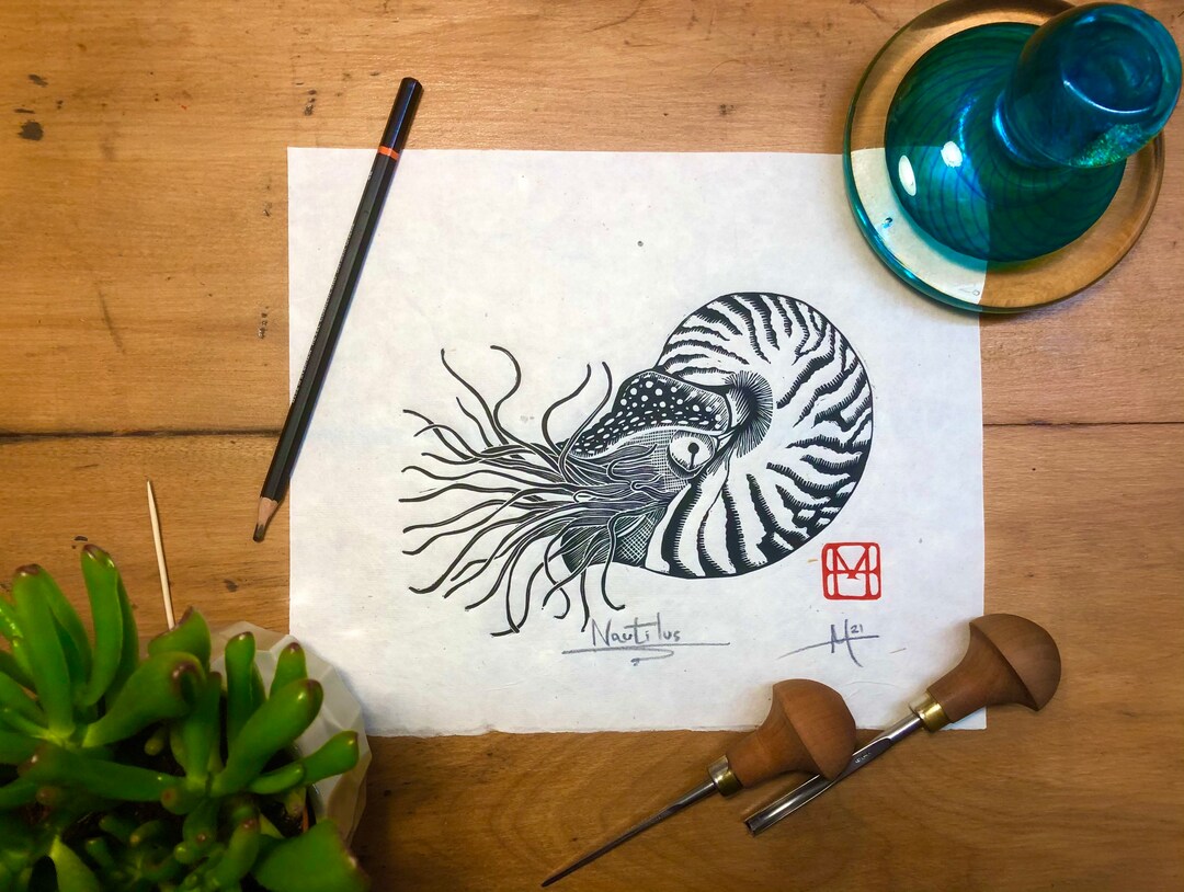 Nautilus Linocut - Etsy