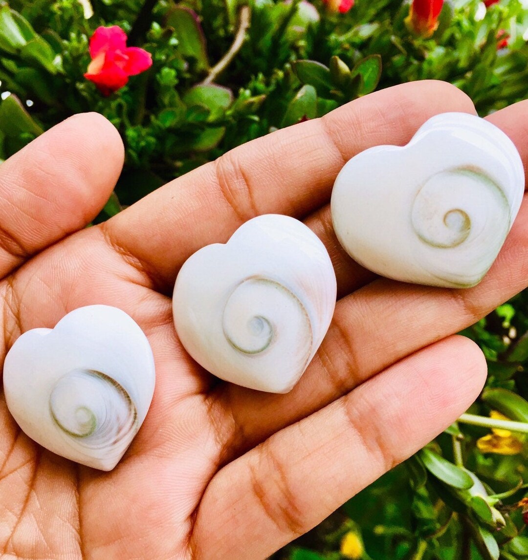 Crystal Shell Heart 1 Spiral Heart Sea Shell Fossil Natural Mineral ...