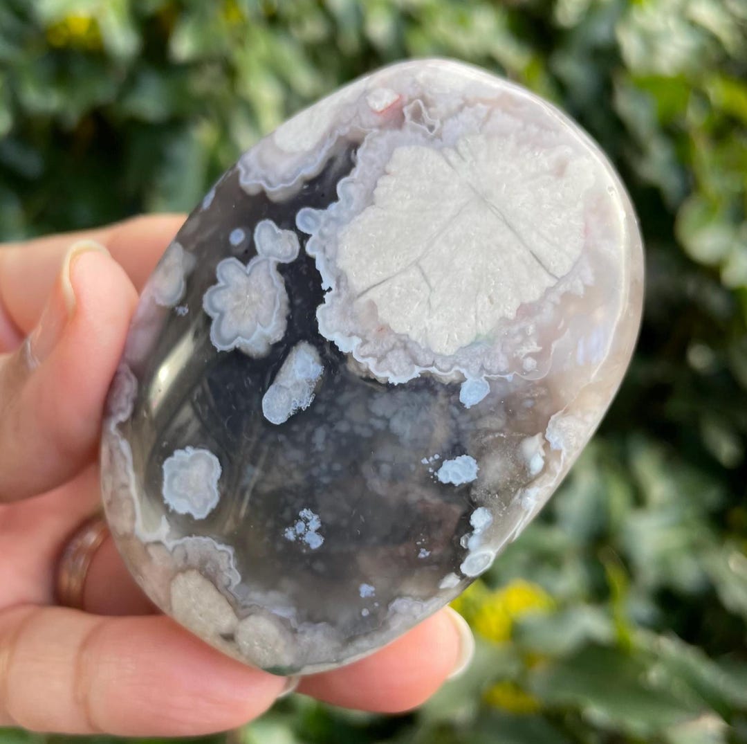 Black Flower Agate Palm Stone (142.3 Gram) Pastel Blue Green Cherry ...