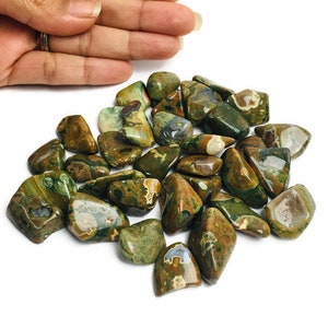 Rainforest Rhyolite Crystal (1) Rhyolite Stone (XS) Beautiful Tumbled ...