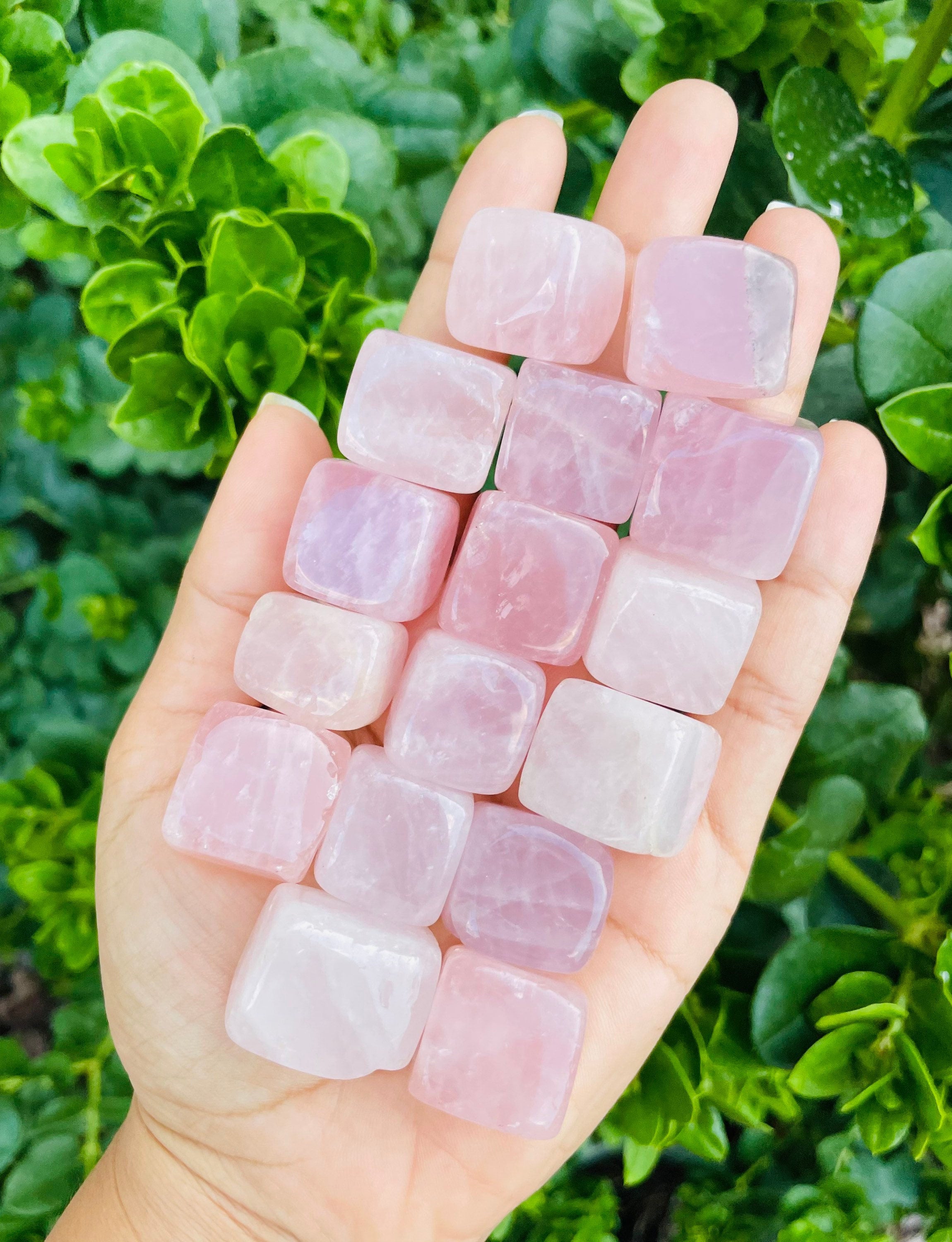 Rose Quartz Crystal 1 Rose Quartz Stone Tumbled Rose | Etsy