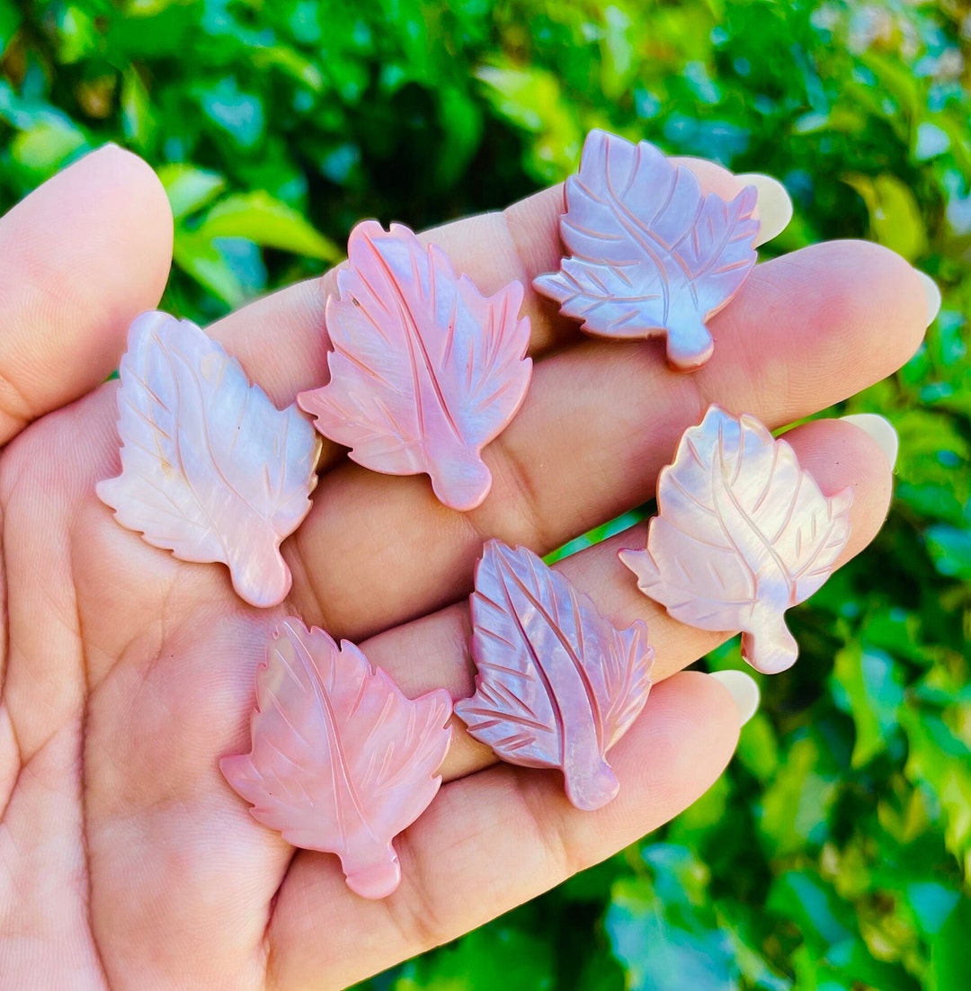 Pink Abalone Shell Leaves (1) XS Pink Pearlescent Abalone Shell Leaf ...