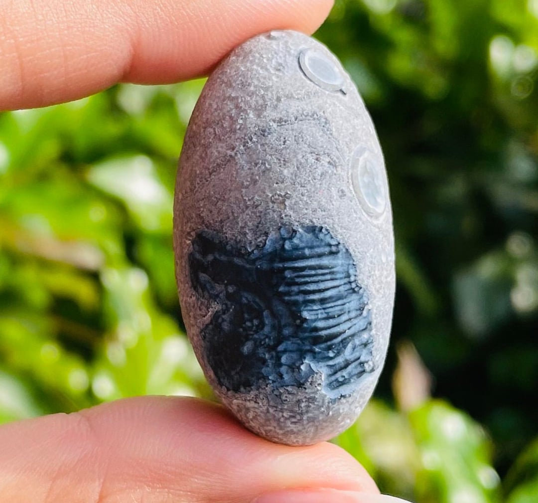 Black Gobi Eye Agate (26.8G) XL Raw Agate Stone, MONGOLIA Agate, Gobi ...