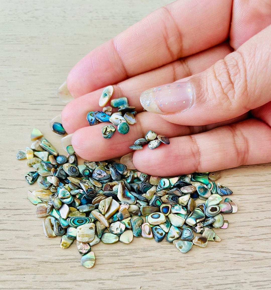 Blue Green Rainbow Abalone Shell Crystals: Tumbled Mini Seashell ...
