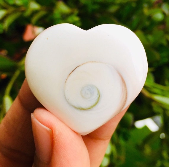 Shell Heart
