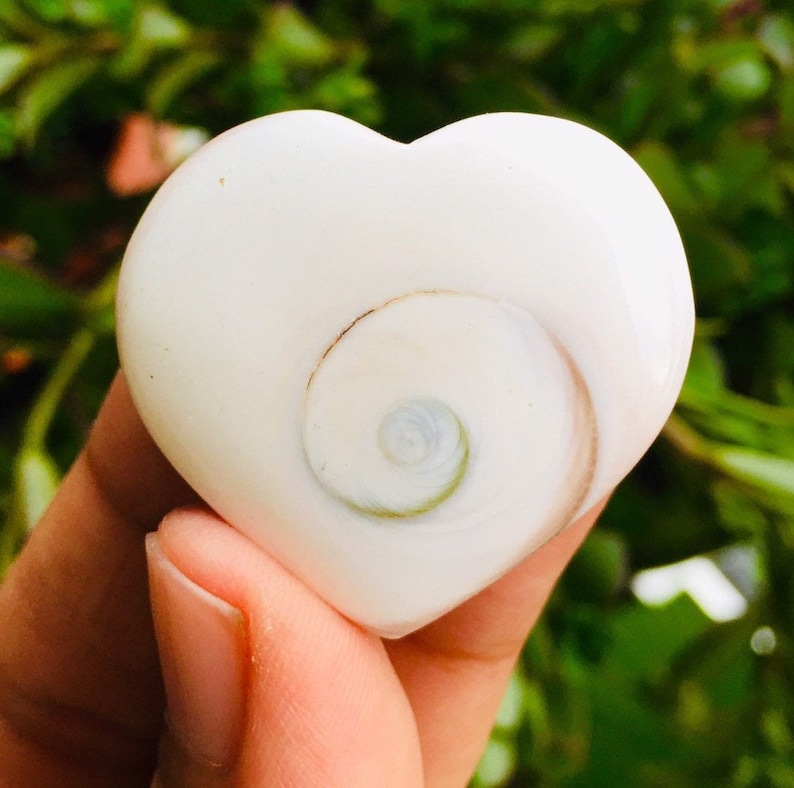 Crystal Shell Heart (1) Spiral Heart Sea Shell Fossil Natural Mineral ...