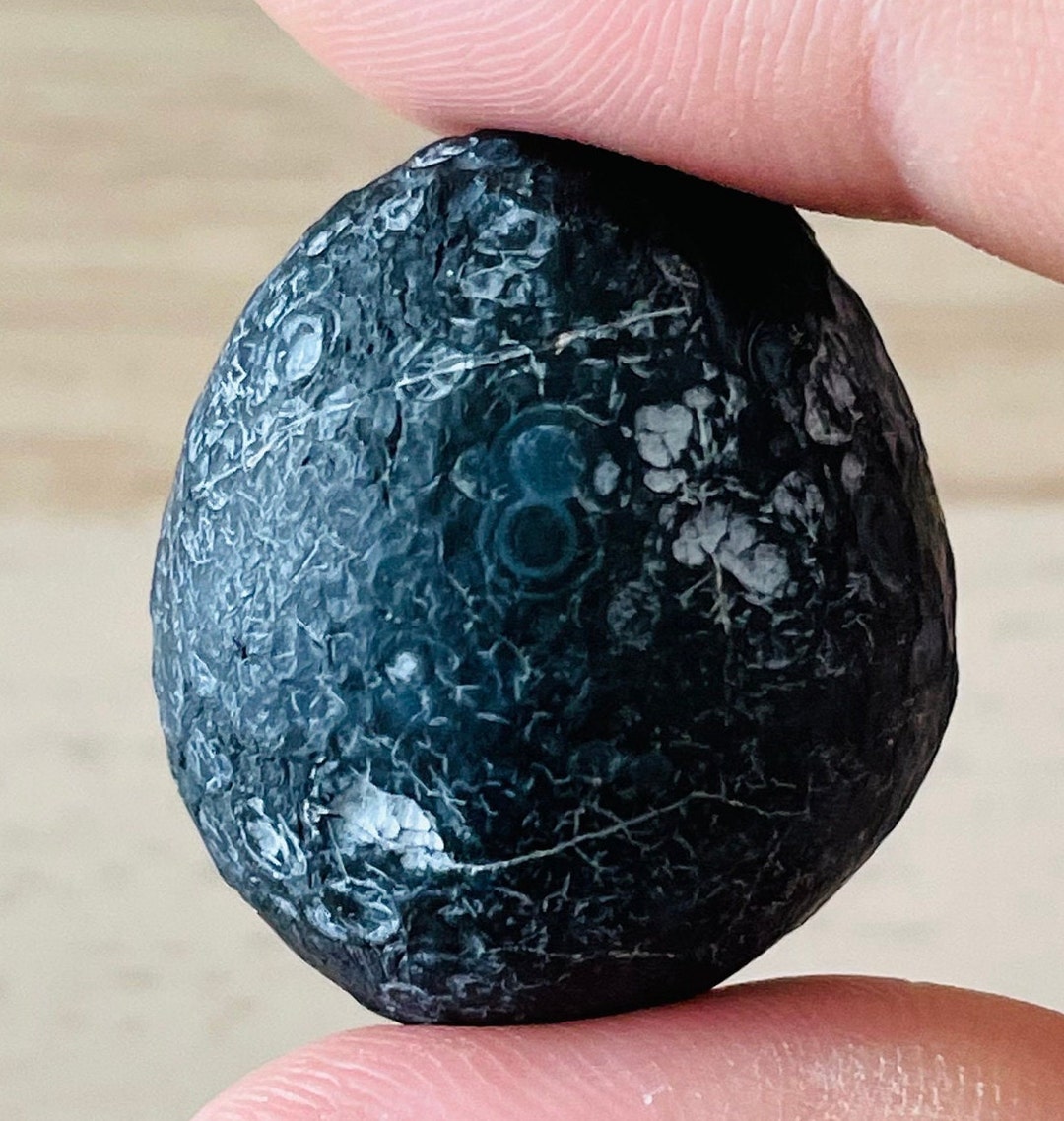 Black Gobi Eye Agate 19.50G XL Raw Agate Stone, MONGOLIA Agate, Gobi ...
