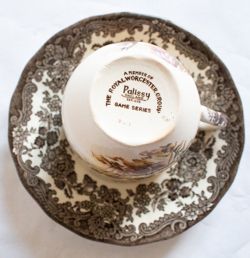 Royal Worcester Palissy 'game Series' Teacup and Saucer, Vintage Brown ...