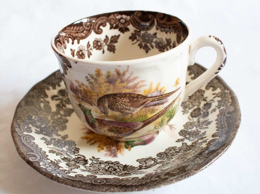 Royal Worcester Palissy 'game Series' Teacup and Saucer, Vintage Brown ...