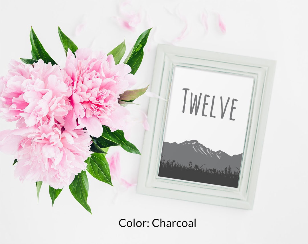 Mountain Table Numbers Template Colorado Table Numbers - Etsy