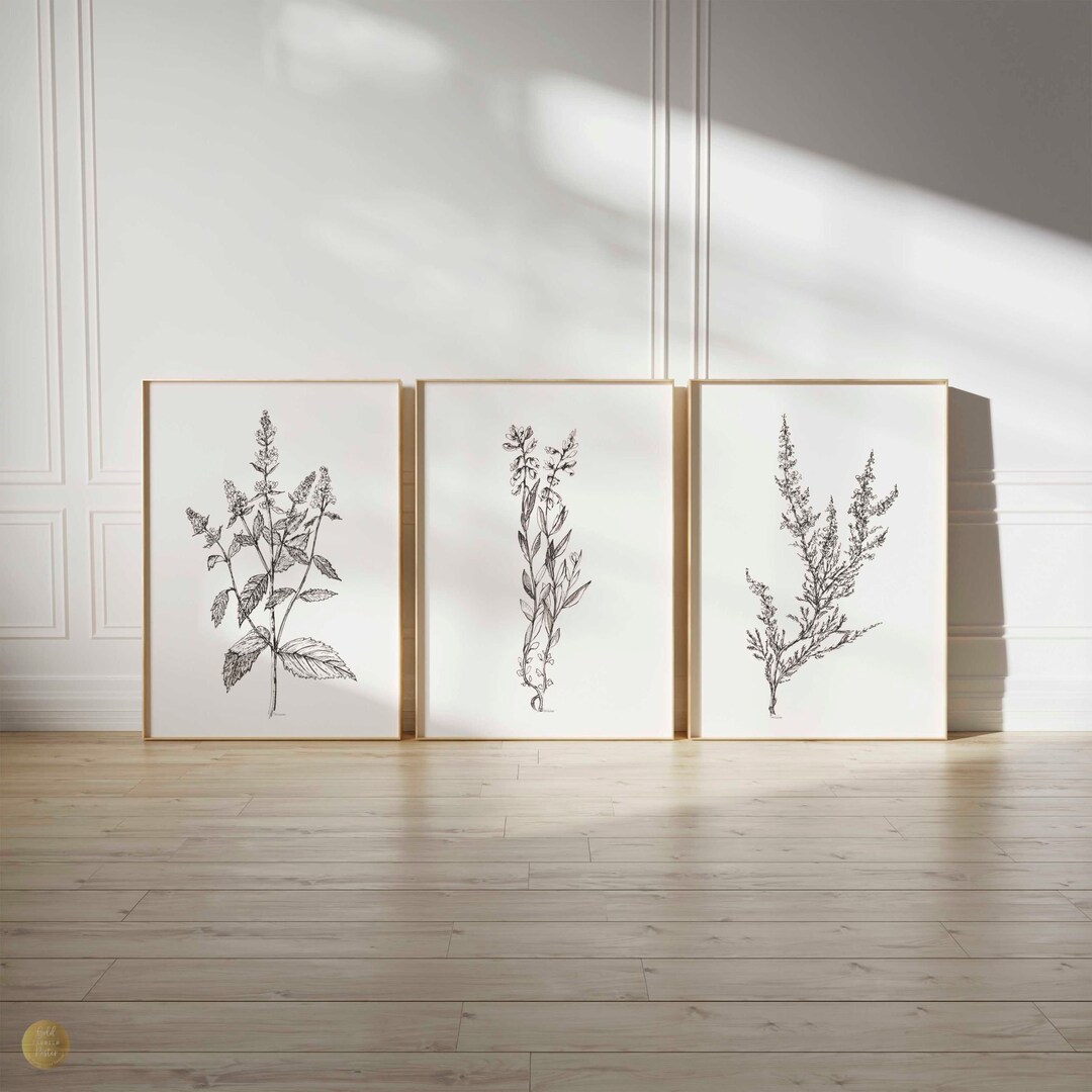 Three 3 Piece Triptych Wall Art Set Black and White Botanical Extra ...