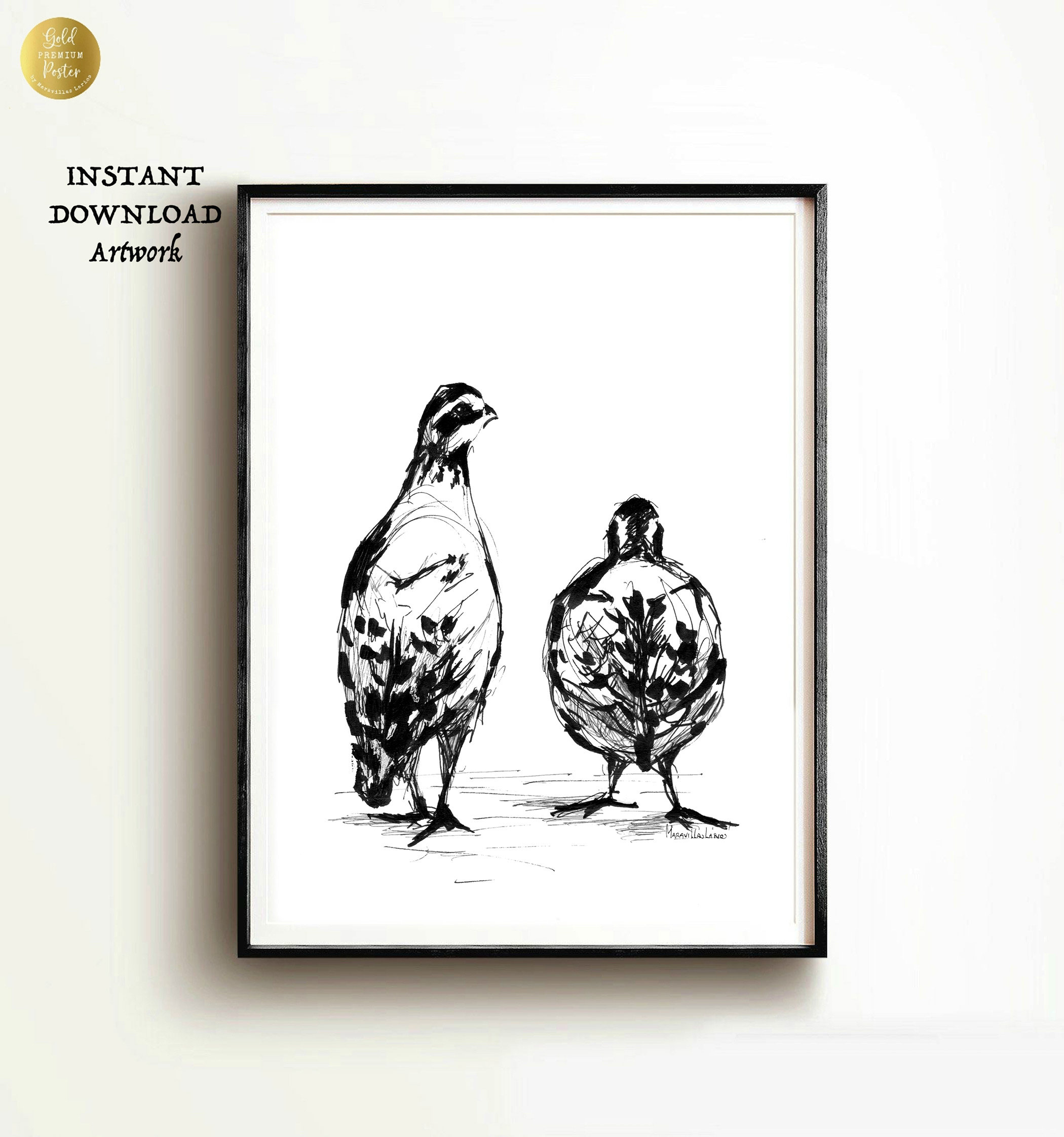 ORIGINAL Hand Drawn Quail Sketch POSTER PRINTABLE California - Etsy