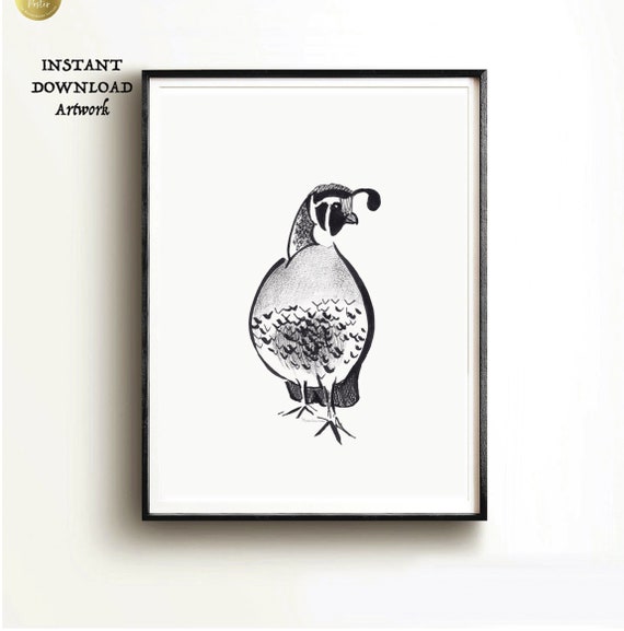 Quail Art Line Drawing Large Quail Gift PRINTABLE Wall Art | Etsy