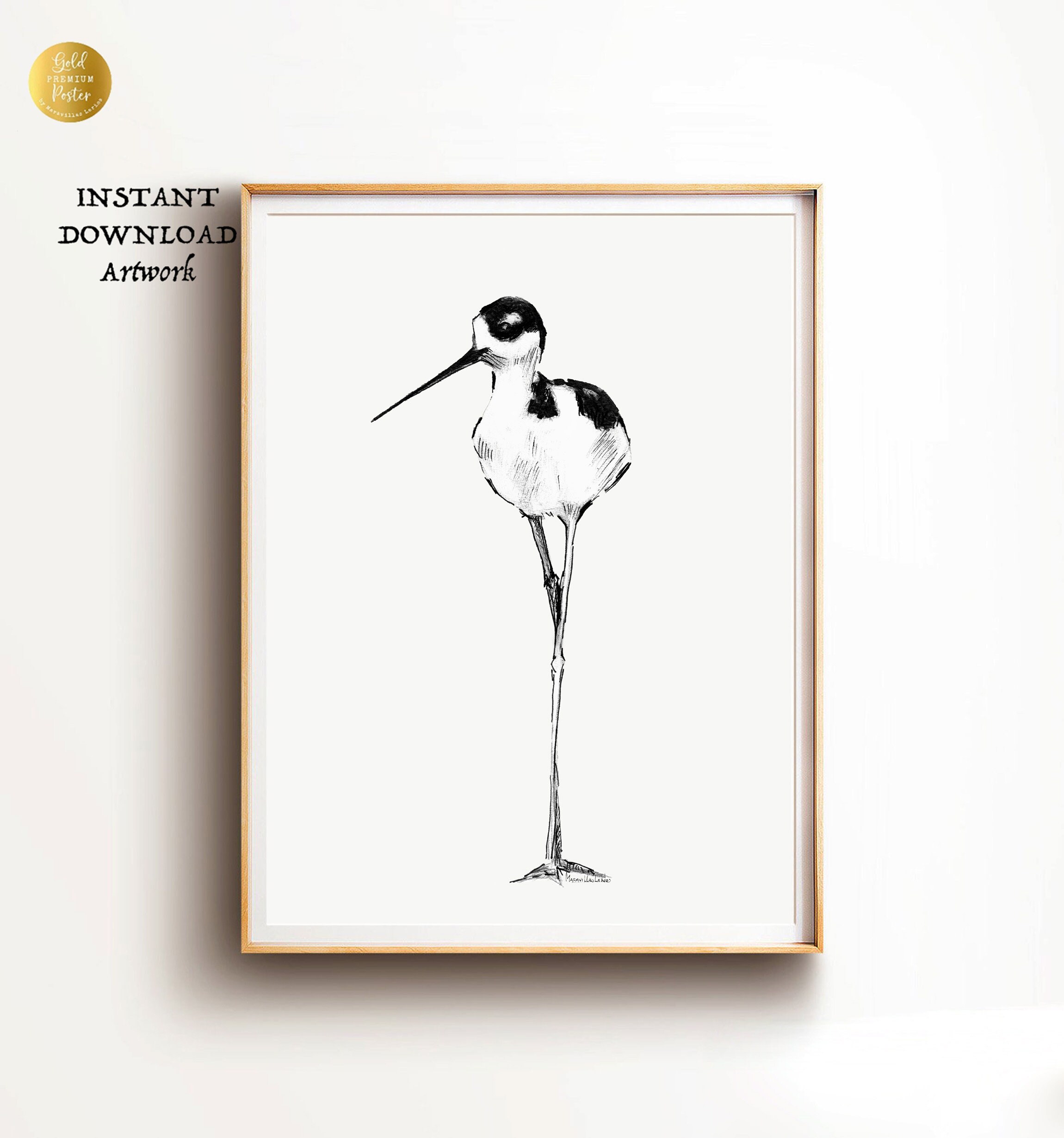 PRINTABLE Stilt Birds Art Print, Printable Wading Birds Pencil Drawing ...