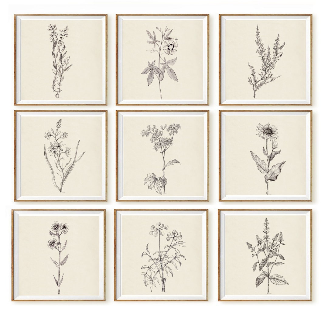 Square Vintage Drawing Botanical Prints SET Floral Drawing Gallery Wall ...