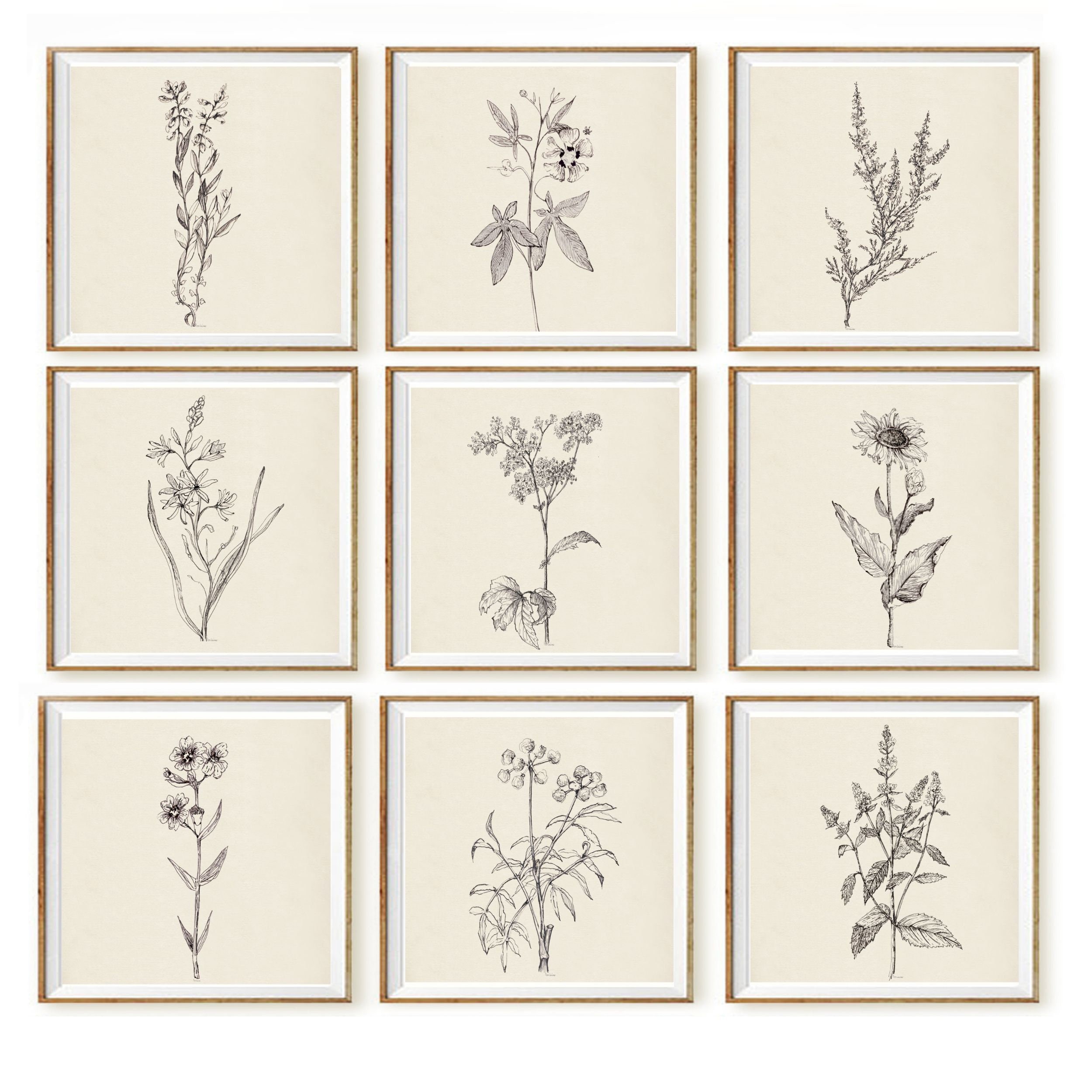 Square Vintage Drawing Botanical Prints SET Floral Drawing Gallery Wall ...