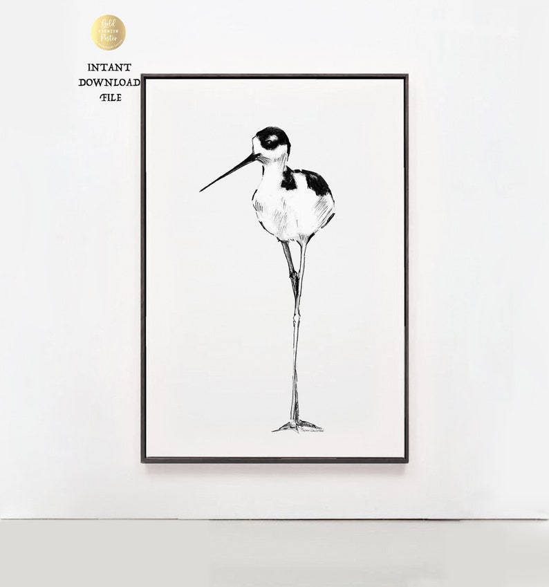 PRINTABLE Stilt Birds Art Print, Printable Wading Birds Pencil Drawing ...
