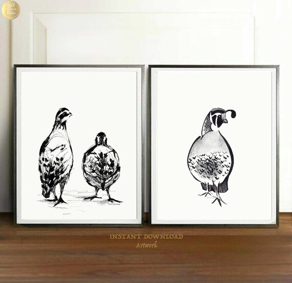 Line Drawing QUAILS Wall Prints Set of 2 Printsblack and - Etsy
