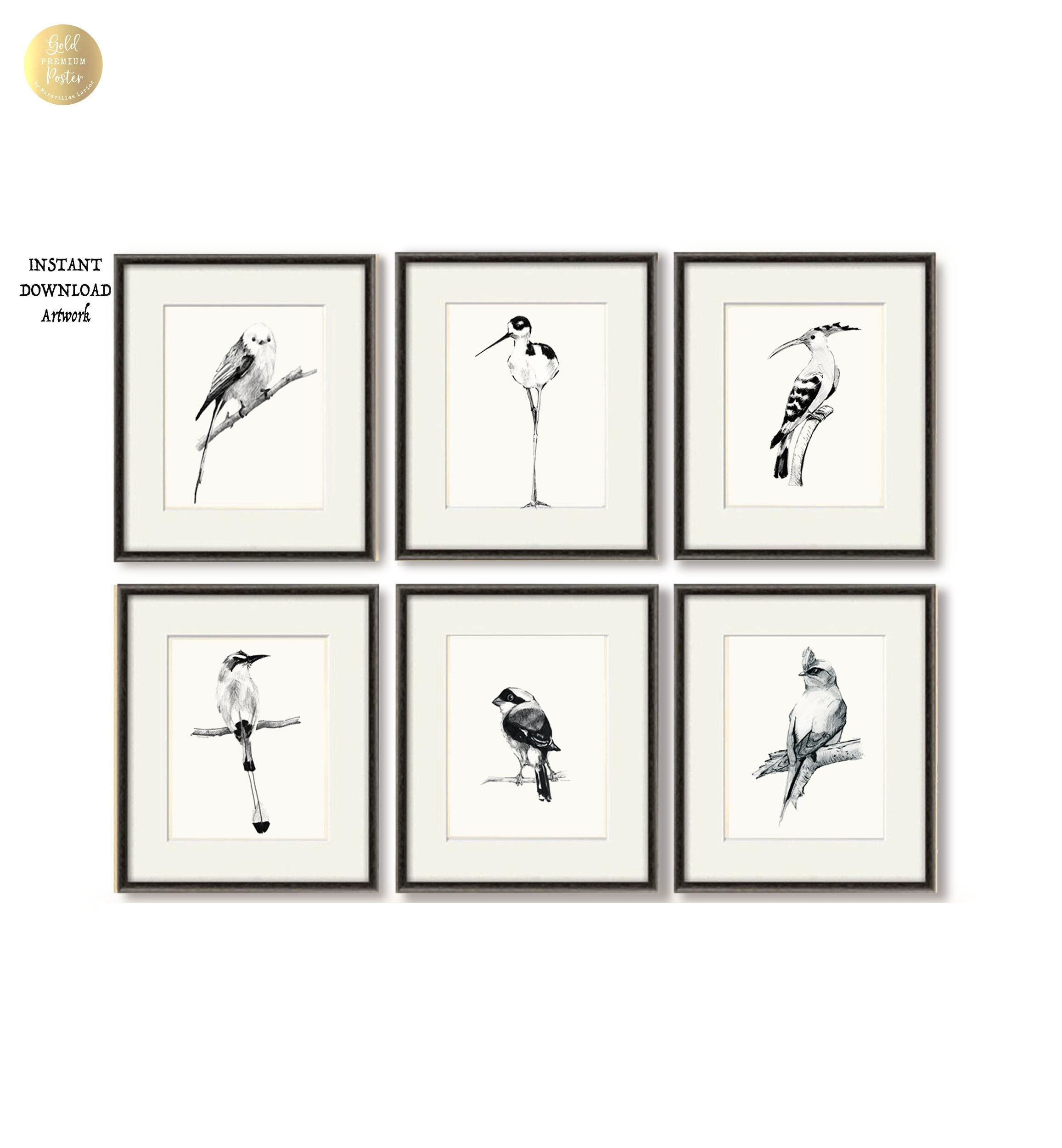 Set 6 Sketches Art Birds Picture Gallery Wall SET 6 Printable - Etsy