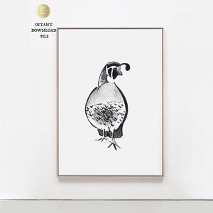 Quail Art Line Drawing Large Quail Gift PRINTABLE Wall Art | Etsy