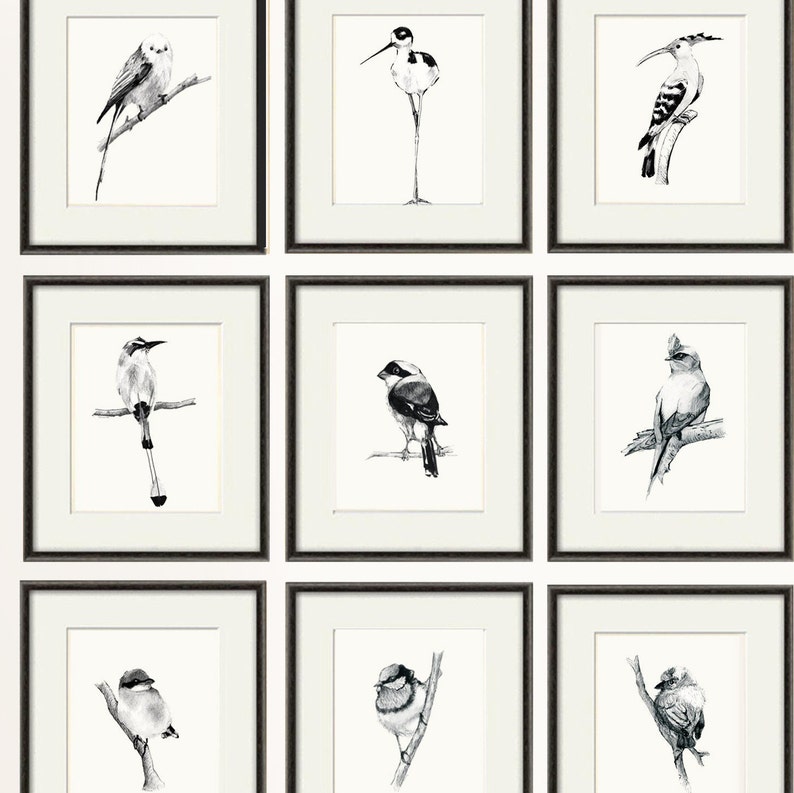 Gallery Wall SET of 9 Bird Prints Set Birds Picture Artwork - Etsy