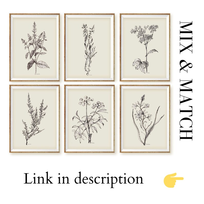 Neutral Botanical DOWNLOAD Floral Vintage Black and White Flower Sketch ...