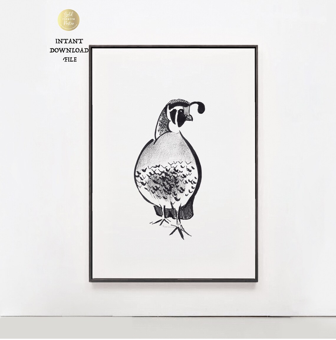 Quail Art Line Drawing Large Quail Gift PRINTABLE Wall Art | Etsy