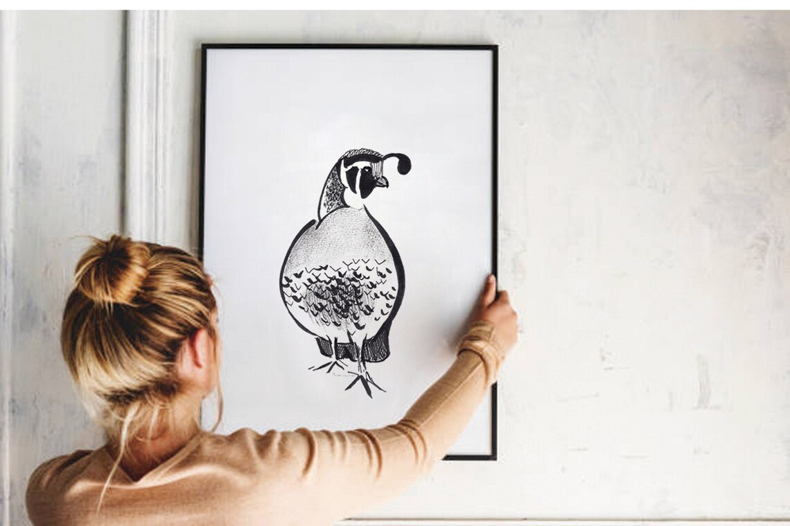 Quail Art Line Drawing Large Quail Gift PRINTABLE Wall Art | Etsy