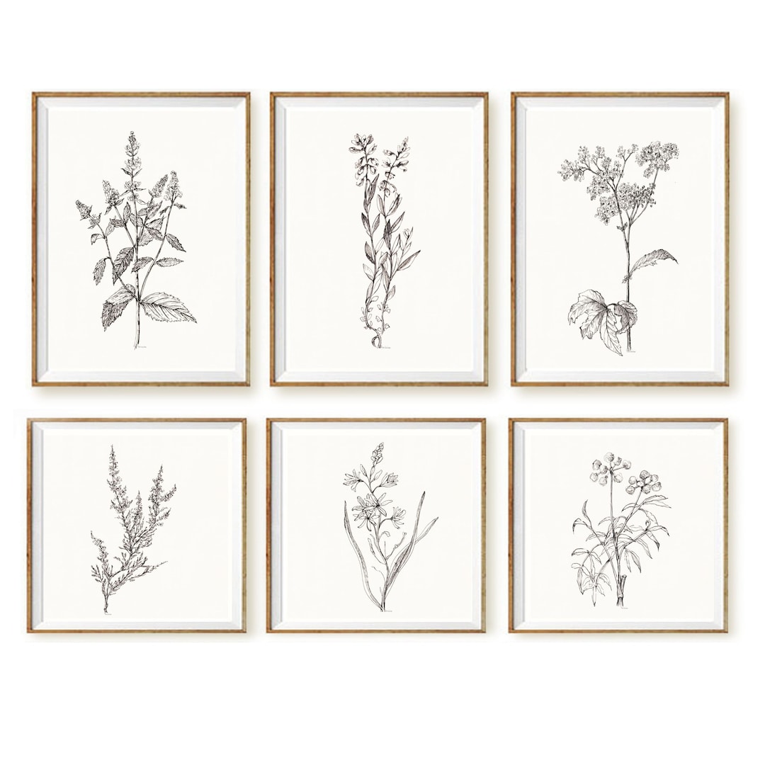 HERBS Sketch Black White Minimalist Herb Plant Print Herb Set of Six ...