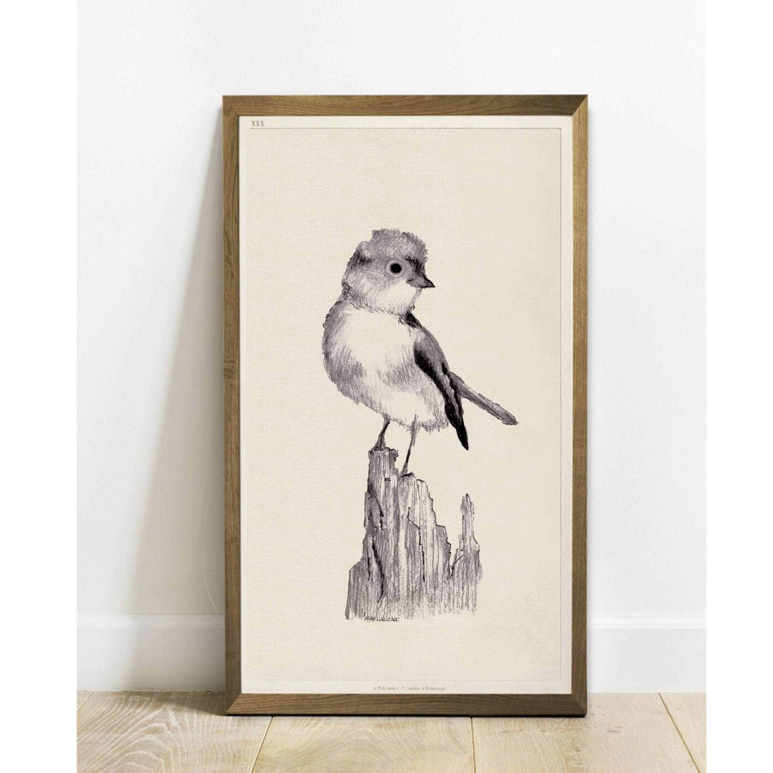 Vintage Bird Sketch Tall Long Narrow Wall Art Vertical BIRD Artwork ...