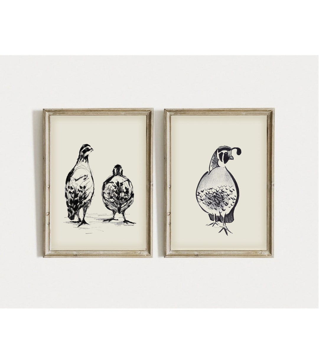 Vintage QUAIL Art PRINTABLE QUAIL Print Set 2 Modern Rustic Farmhouse ...