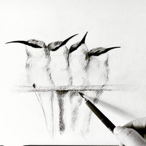 Bird Sketch Art Print,bird Perching Wildlife Drawing,black & White ...