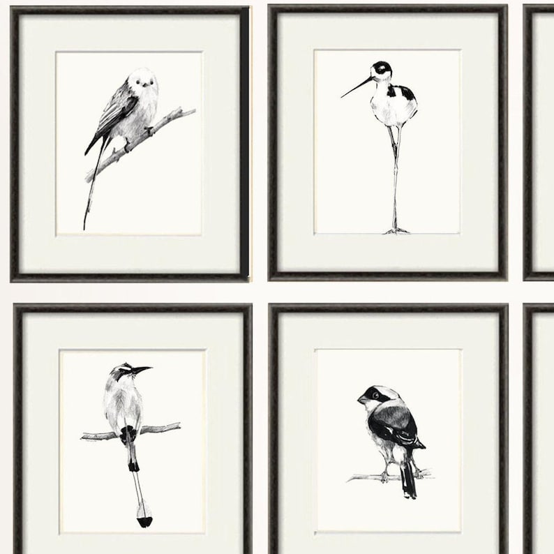 Gallery Wall SET of 9 Bird Prints Set Birds Picture Artwork - Etsy