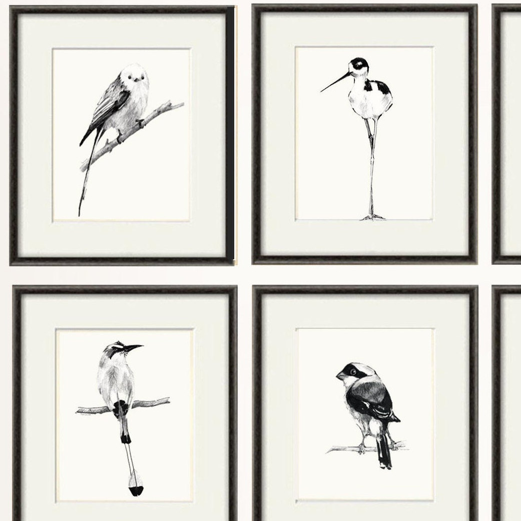 Set of 9 PRINTABLE Bird Art Wall Art Print Original Black and - Etsy