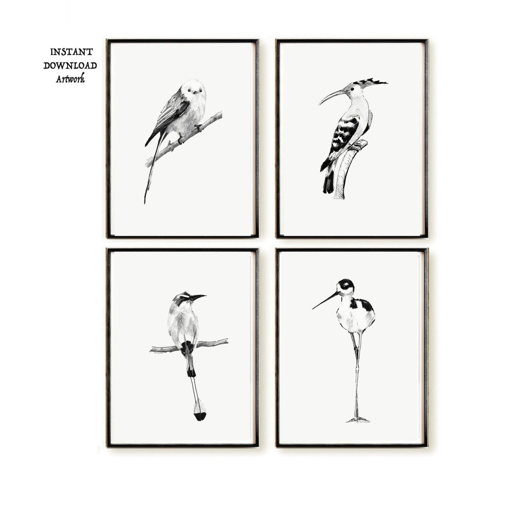 Birds PRINTABLE Bird Set Sketch DOWNLOAD Bird Pencil HAND Drawings ...