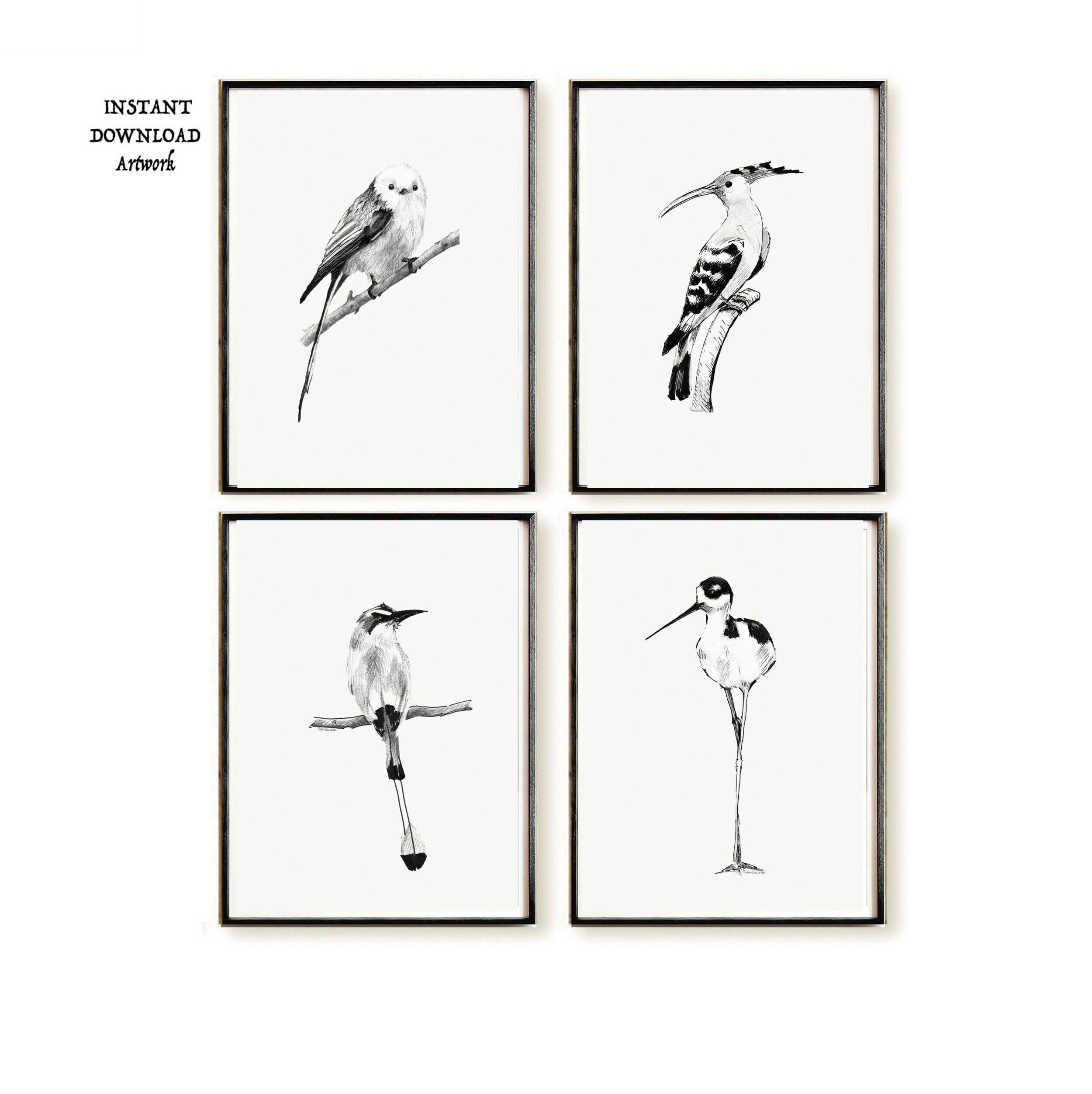 Birds PRINTABLE Bird Set Sketch DOWNLOAD Bird Pencil HAND - Etsy
