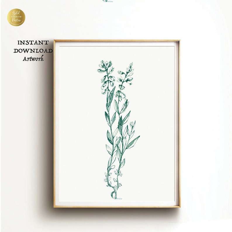 Sage Green Wall Art PRINTABLE Botanical DRAWING Sage Green - Etsy