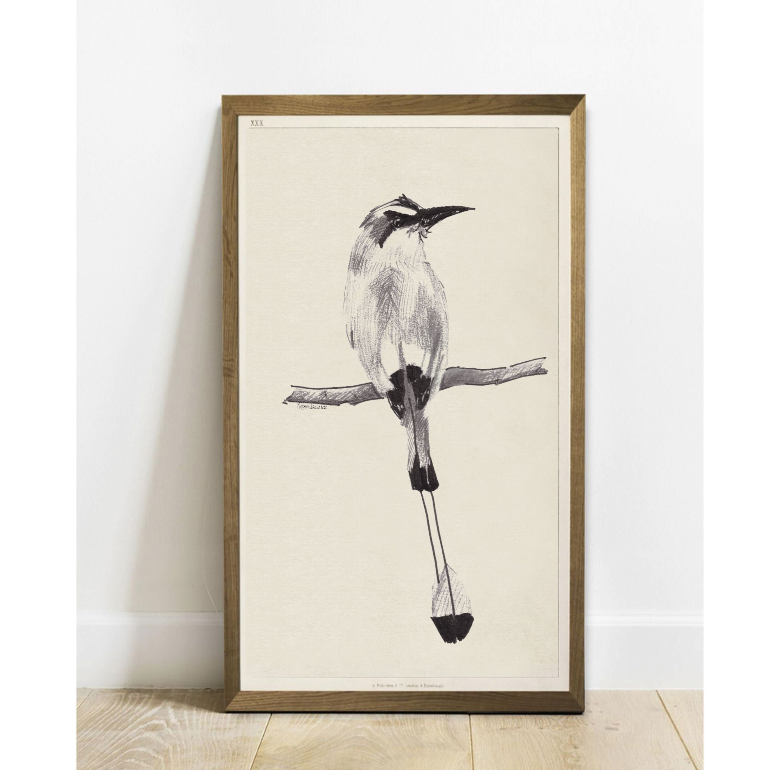 Tall Long Narrow Wall Art Vertical Vintage BIRD Sketch Panoramic Wall ...