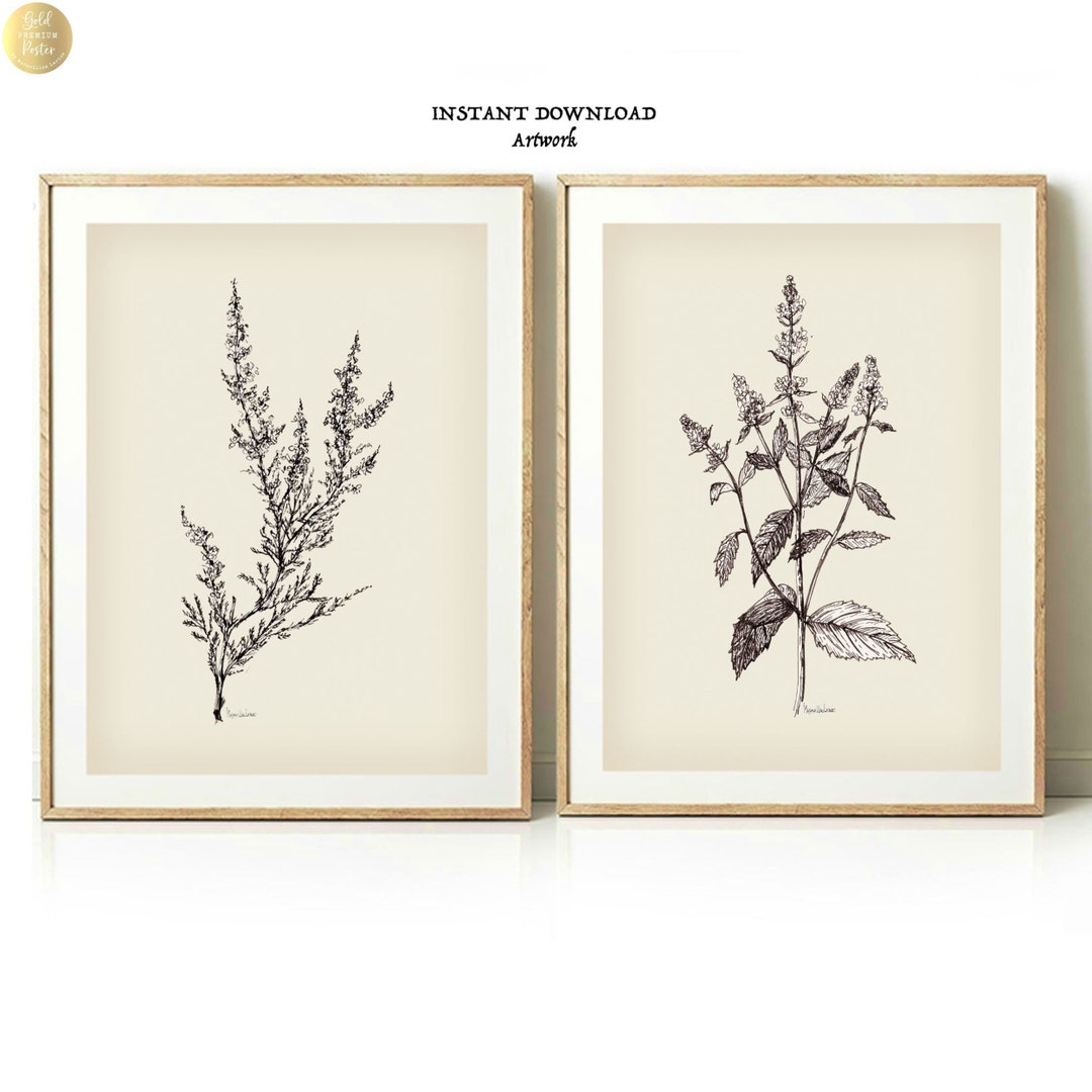 Vintage Black and White Botanical Print Set of 2 Piece Print Set Floral ...