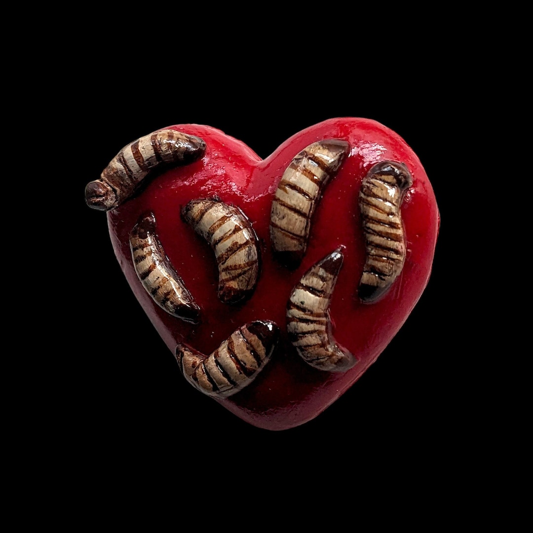 Heart of Maggots Brooch (red) | Handmade Horror Pin in Creepy Halloween ...