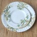 Beautiful Victorian Antique China Plates 3 - Etsy