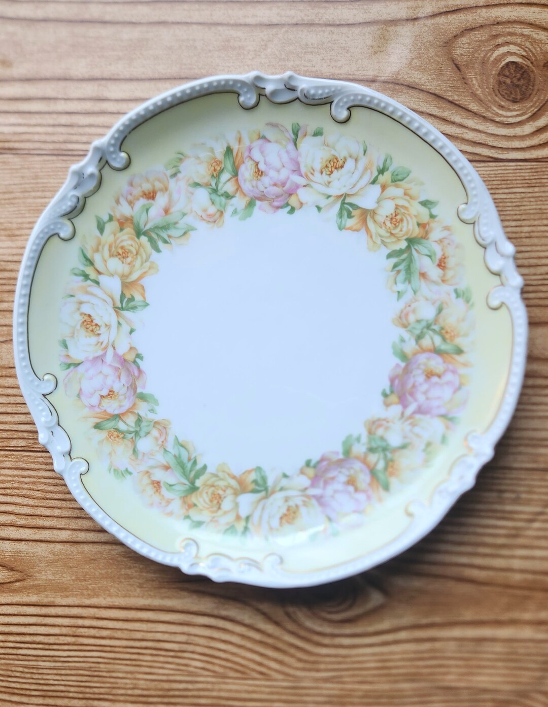 1902-10 Antique Adolf Persch Fine Austrian Porcelain 10" Dinner Plate ...