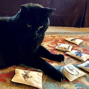 Feline Oracle Catnip Runes Cat Divination Set - Etsy